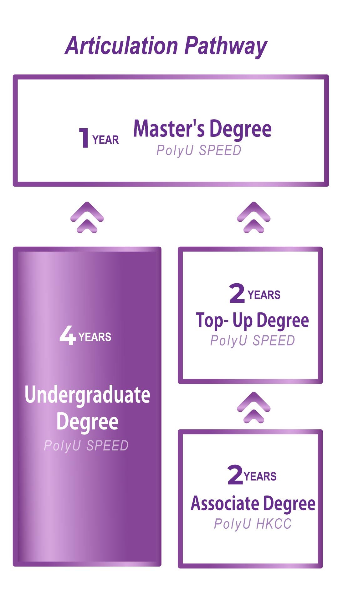 Undergraduate Degree